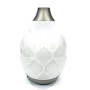 Amazon.com: Young Living Essential Oil Home Ultrasonic Desert Mist ...