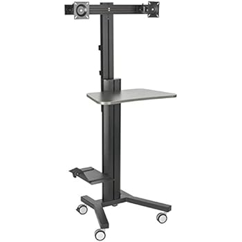 Amazon.com: Ergotron WorkFit-C Dual Sit-Stand Workstation (24-214-085 ...
