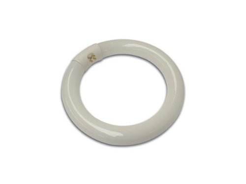 Jinn Lighting Fcl 22w Daylight – Shelly Lighting