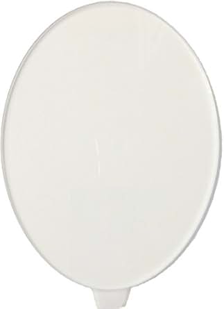 Replacement Lens Cover for 5-1/2" Diameter PVC Well Light - - Amazon.com