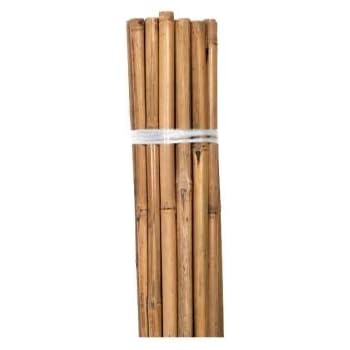 Grower's Edge Natural Bamboo Plant Stakes - 8 ft (50/Pack): Amazon.com ...