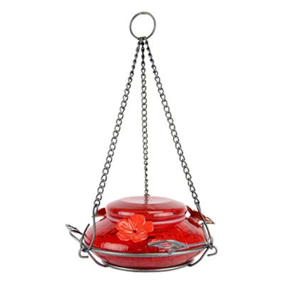 MODERN TOP-FILL HUMMINGBIRD FEEDER for sale | Las Vegas, NV | Nellis ...
