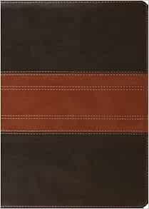 ESV Study Bible, Large Print (TruTone, Forest/Tan, Trail Design): ESV ...