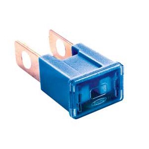 Pal Male Auto Fuse 100 Amp - Dark Blue: Amazon.co.uk: Kitchen & Home