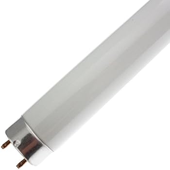 Industrial Performance F32T8/835/ECO, 32 Watt, G13 Base, 4ft Fluorescent Tube Light Bulb (25 ...