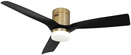SMAAIR 52 Inch Smart Ceiling Fan with Lights and 10-speed DC Motor ...