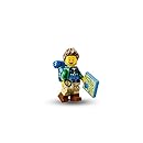 Amazon.com: LEGO Series 16 Collectible Minifigures - Hiker (71013 ...