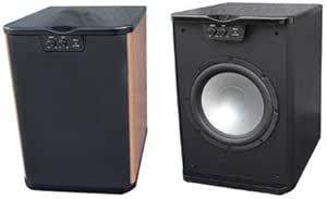 Amazon.com: Premier Acoustic PA-10W Subwoofer - Black: Home Audio & Theater