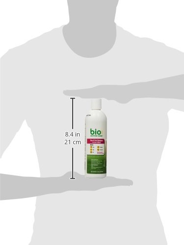 Купить Bio Spot Active Care F&T Shampoo Cats and Kittens 12 oz в ...