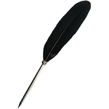 Amazon.com : AWESOME Black Ink Feather Quill Ballpoint Pen | Black ...