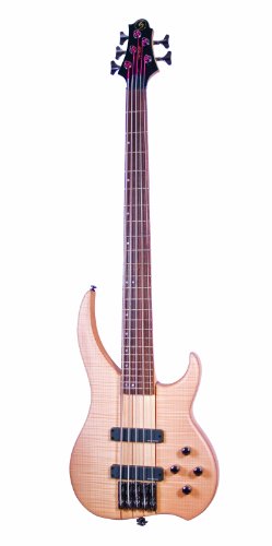 Samick Greg Bennett DB55 5-String Bass Guitar Philippines | Ubuy