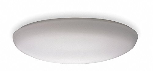 Lithonia Lighting DFMR19 M6 Diffuser for 19-Inch Low Profile Round ...