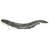 Amazon.com: Moray EEL 32" by Wild Life Artist: Toys & Games