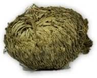 Plant of Resurrection, Rose of Jericho 1 pc. - Live house plants ...