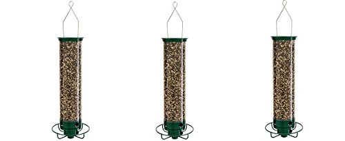 Droll Yankees Bird Feeder | Bird-feeder