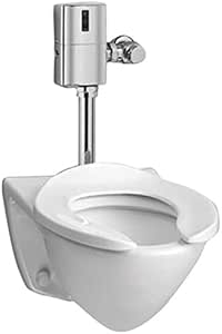 Toto CT708E-12 Commercial Flushometer High Efficiency 1.28 GPF ...