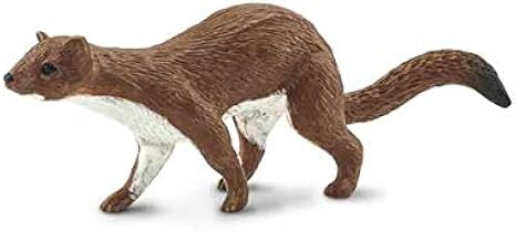 Amazon.com : Weasel : Clothing