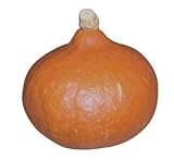 Red kuri squash - How to grow & care