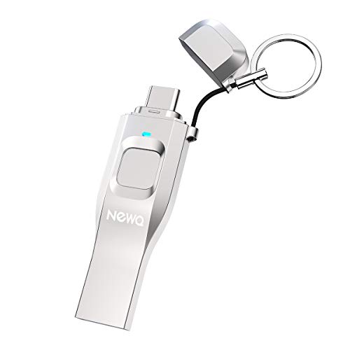 Fingerprint Flash Drive,NewQ 256GB 2 in 1 Biometric Security ...