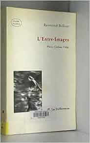 L'entre-images: Photo, cinéma, vidéo (Mobile matière) (French Edition ...