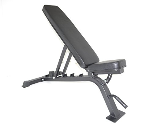 Buy FI Flat Incline Shoulder Bench HD Power Rack FIB by Atlas 700 lb ...