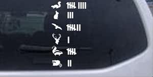 Amazon.com: Rad Dezigns Keeping Count Roadkill Animals Funny Car Window ...