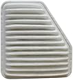 Amazon.com: PT Auto Warehouse AF10169 - Engine Air Filter: Automotive