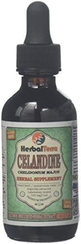 Celandine (Chelidonium Majus) Glycerite, Organic Dried Above-Ground ...