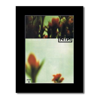 Nin Wallpaper The Fragile