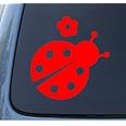 Amazon.com: LADYBUG - Lady Bug - Car, Truck, Notebook, Vinyl Decal ...