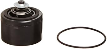 Fill-Rite KIT700CV Kit, check Valve Assembly 700 Series: Industrial ...