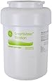 GE MWF Water Filter (MWFINT): Amazon.ca: Tools & Home Improvement