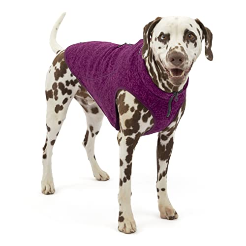 The Best Fleece Dog Sweaters - Dogtime