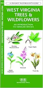 West Virginia Trees & Wildflowers: An Introduction to Familiar Species ...
