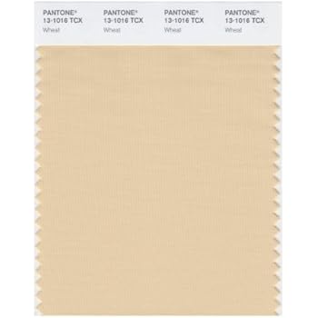 PANTONE Smart 14-1119X Color Swatch Card, Winter Wheat - Wall Decor ...