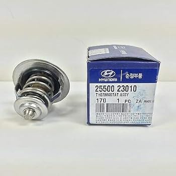 Amazon.com: HYUNDAI Genuine 25500-3C130 Thermostat Assy: Automotive