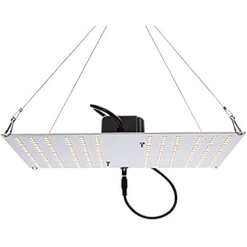 Amazon.com : Eye Hortilux Ceramic Metal Halide Lamp 315 Watt Made in USA Grow Bulb : Garden ...