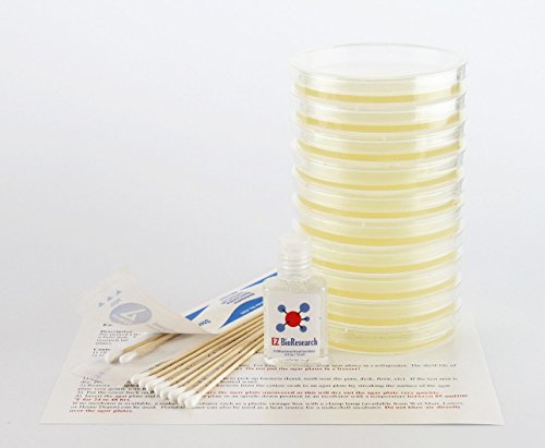 Non Stick Appam Maker Bacteria Science Kit With Pre-poured LB Agar ...