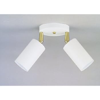 Progress Lighting P6149-30 2-Light Round Back Directional Metal ...