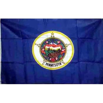 Amazon.com: New 2x3 Minnesota State Flag US USA American Flags: Sports ...