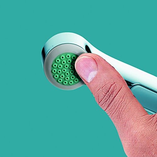 Hansgrohe Bidette 28338000 Shower Head for Toilets and Personal Hygiene ...