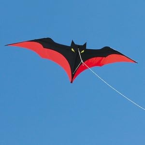 Amazon.com: Red Bat Kite: Toys & Games