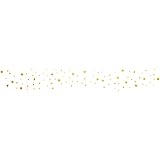Amazon.com: CHAMPAGNE FIZZ CONFETTI FRECKLES set of 25 premium boho ...