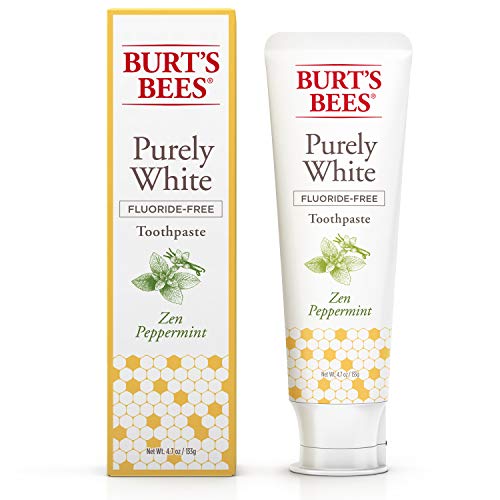 Burt's Bees Toothpaste, Natural Flavor, Fluoride Free Purely White, Zen ...