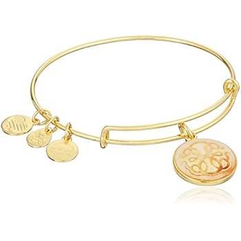Amazon.com: Alex and Ani Bangle Bar Path of Life Rafaelian Gold-Tone Expandable Bracelet: Jewelry