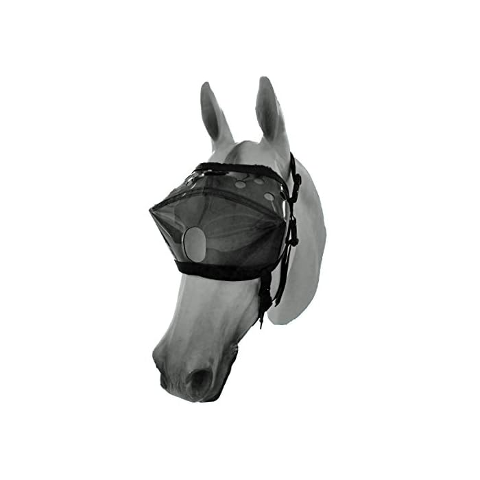 Buy EquiVizor Recovery Vizor, UV Tint (Clear or Dark) Medical and ...