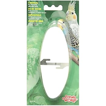 Amazon.com : (3 Pack) Living World Cuttlebone, Large, 6 Total ...