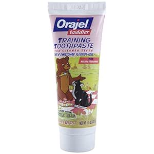 Amazon.com: Orajel Toddler Training Little Bear Toothpaste - Berry ...