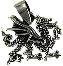 Amazon.com: Sterling Silver Welsh Dragon Pendant Women's Men's Jewelry ...