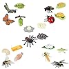 20 PCS Life Cycle Figurines of Butterfly Spider Bee Ladybug Dragonfly ...